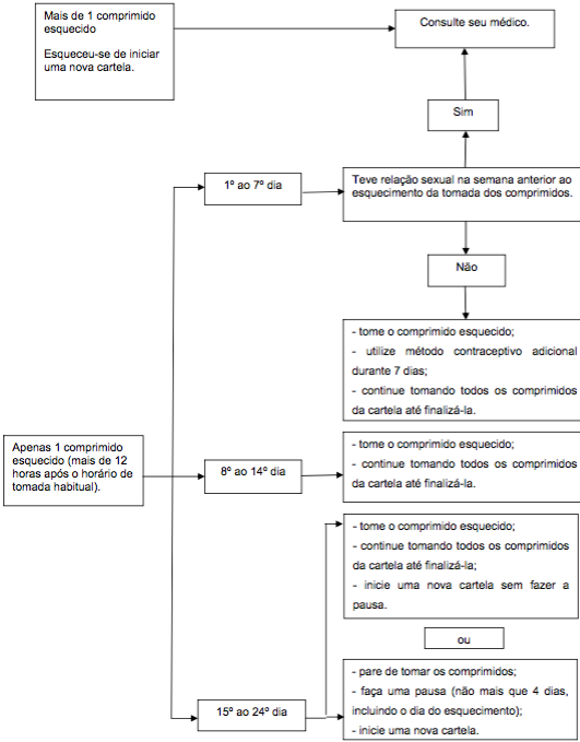 Bula do Molièri 20: para que serve e como usar | CR