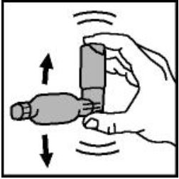 Bula do Duovent: Para que Serve e Como Usar | CR