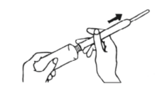 Bula do Trinizol-M: para que serve e como usar | CR