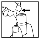 Bula do Forten: para que serve e como usar | CR