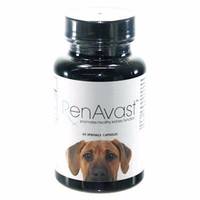 RenAvast Inovet para Cães com menor preço | CR