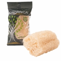 Bucha Natural Orgânica Organics com Menor Preço | CR