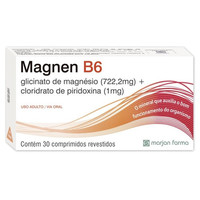 Magnen B6: Bula original, extraída manualmente da Anvisa | CR